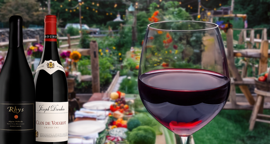 Burgundy Wine Vs Pinot Noir | Map Of Burgundy Wine – QGWR